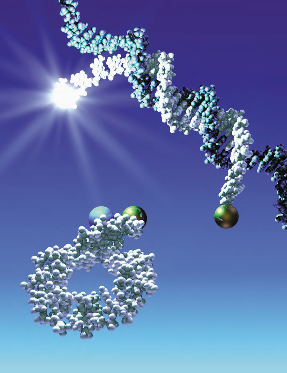 Molecular Beacons Technology Invented by Rutgers Researchers Used in ...