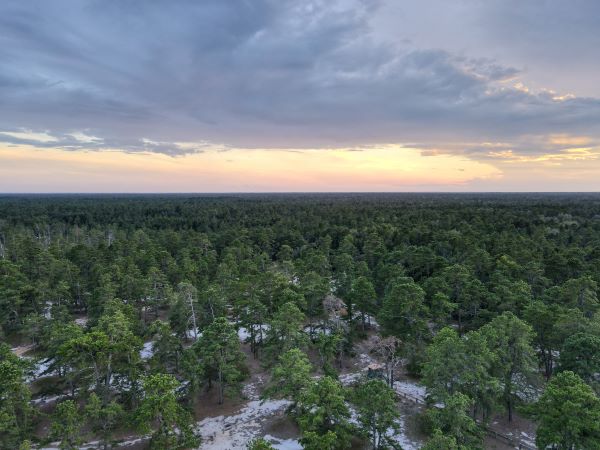 Climate monitoring in pine barrens ecosystem to study the impact of ...