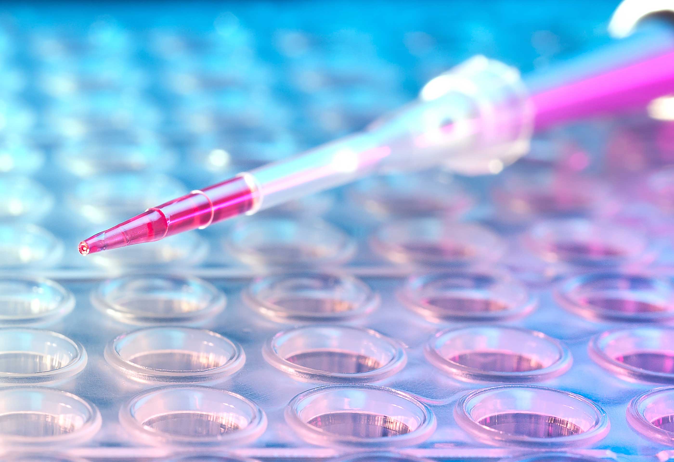 Researchers Zero In On Genetic Variant Tied to Miscarriages | Rutgers ...