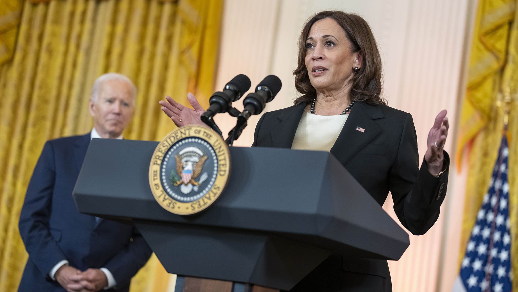 Why Are We Questioning Kamala Harris's Electability? | Rutgers Research