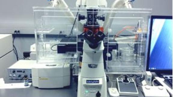 Core Facilities | Rutgers Research