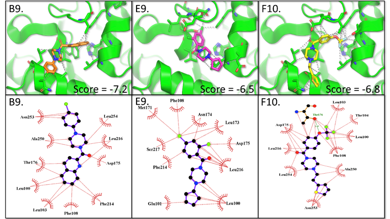 Inhibitors of Guanine Deaminase for Hyperuricemia and Gout | Rutgers ...