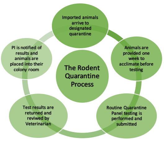 Animal Shipping | Rutgers Research