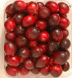 Rutgers Demoranville® Cranberry | Rutgers Research